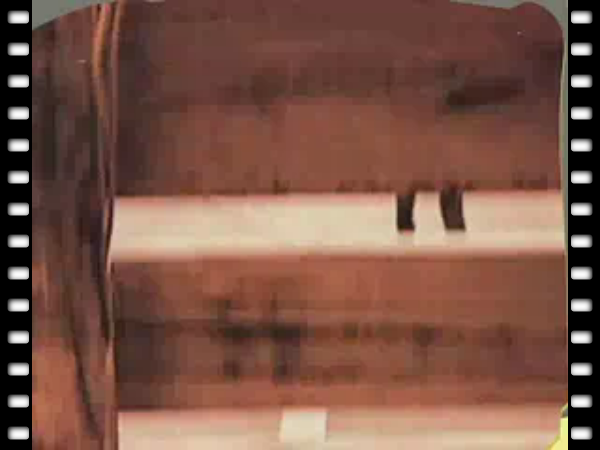 streetlevel intro : Indybay