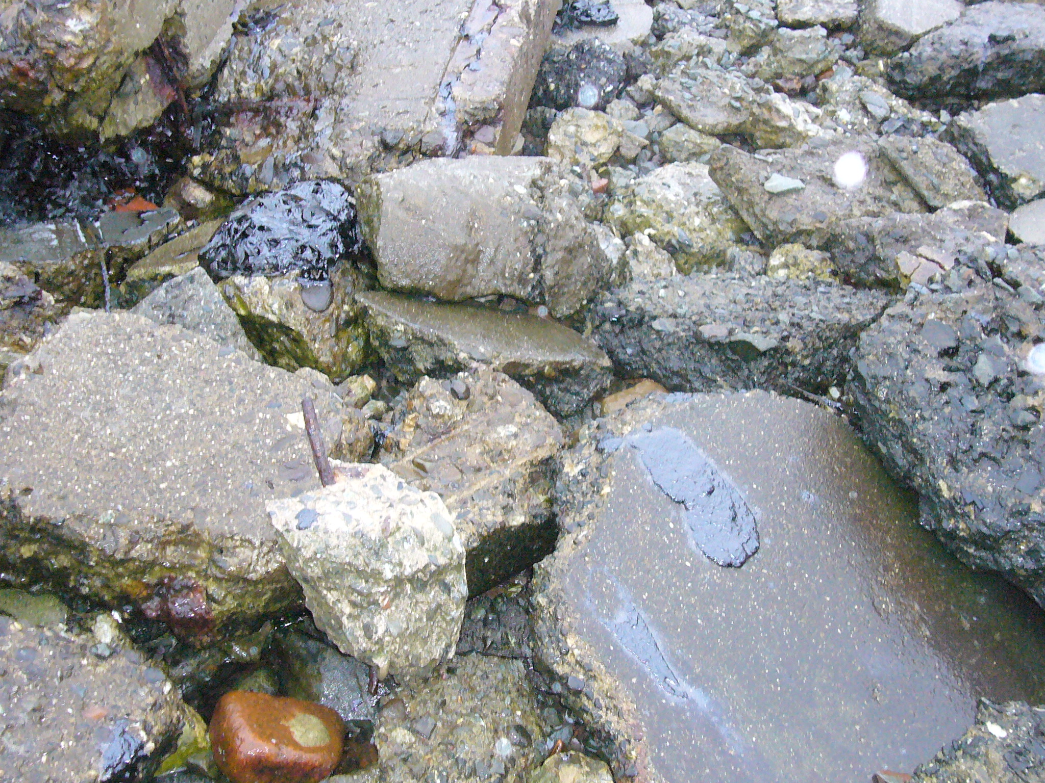 Bay is ringed by globs of thick sticky tar : Indybay