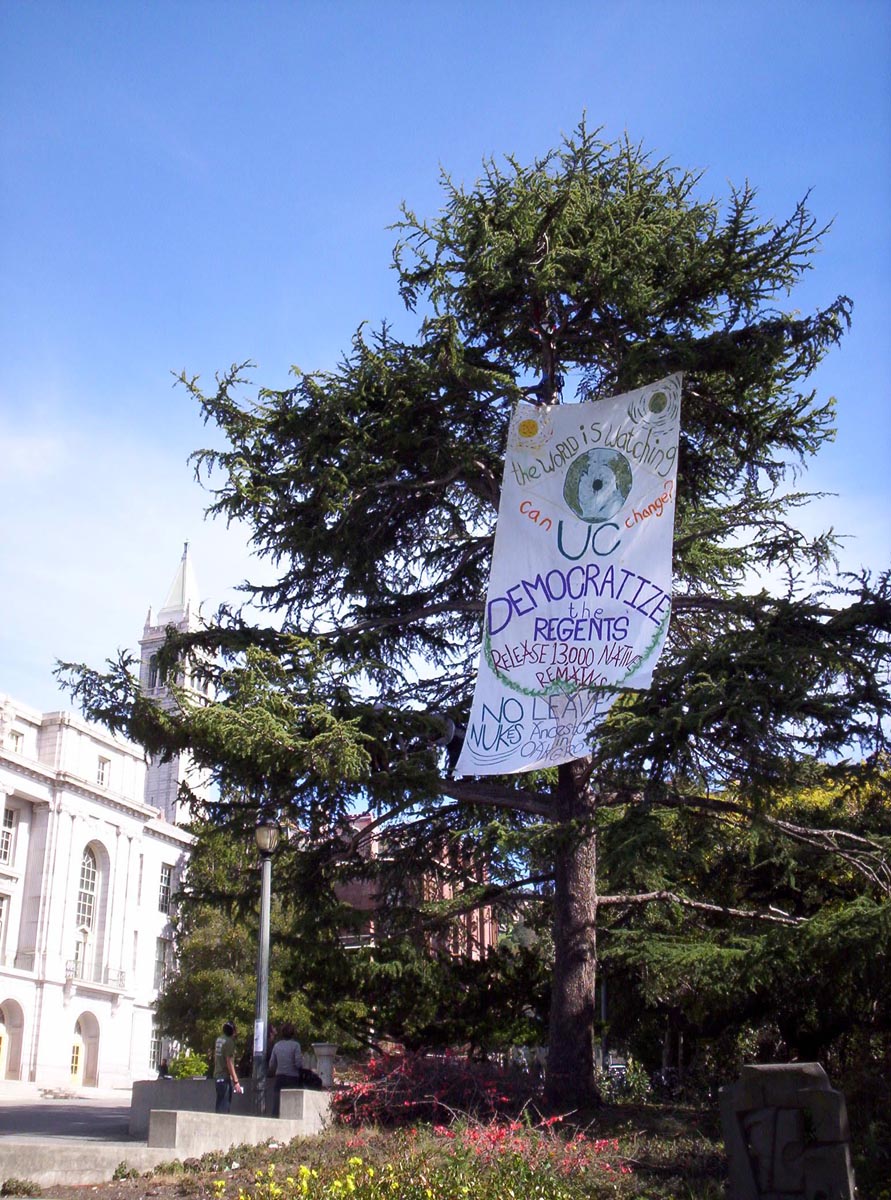 Another tree sit at UC Berkeley : Indybay