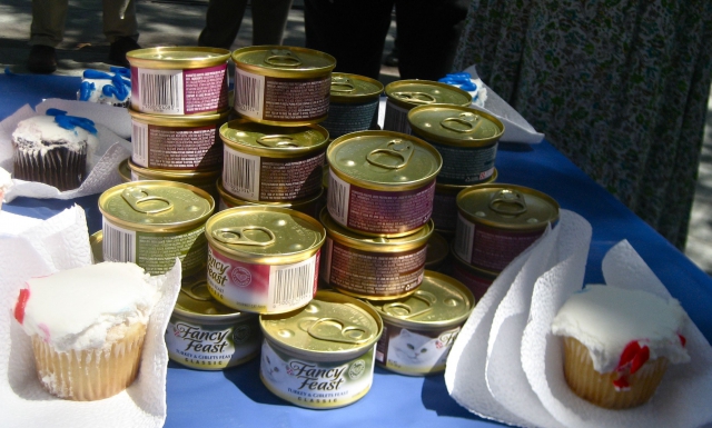 Will It Be Catfood or Cake? How Will Seniors Survive if Social Security ...