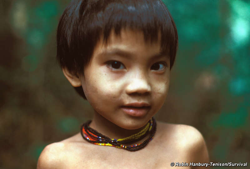US human rights report shines spotlight on Penan tribe : Indybay