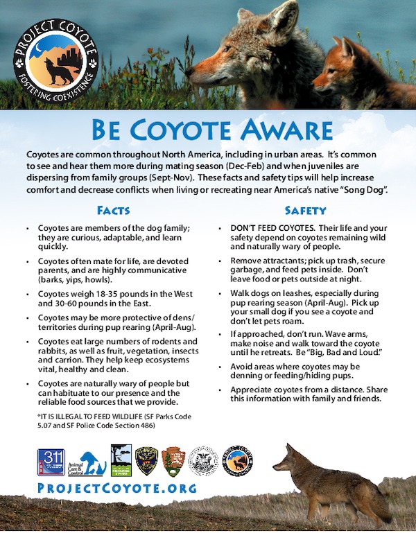"Be Coyote Aware" : Indybay