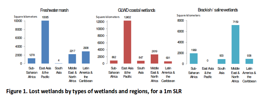 Freshwater Wetlands Climate
