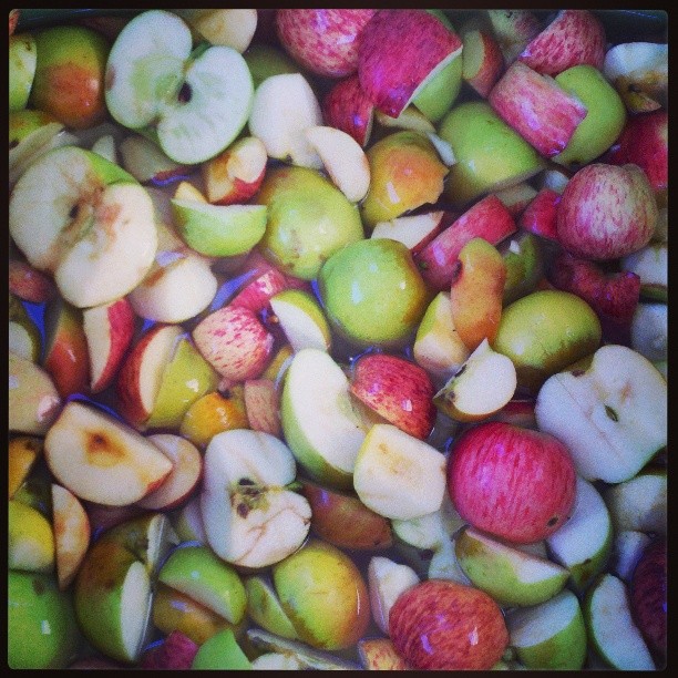 Apple Harvest and Cider Pressing with Santa Cruz Fruit Tree Project ...