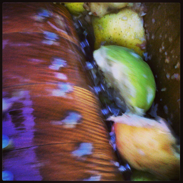 Apple Harvest and Cider Pressing with Santa Cruz Fruit Tree Project ...