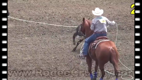 Salinas Rodeo Hides Animal Injuries in Violation of California Law ...