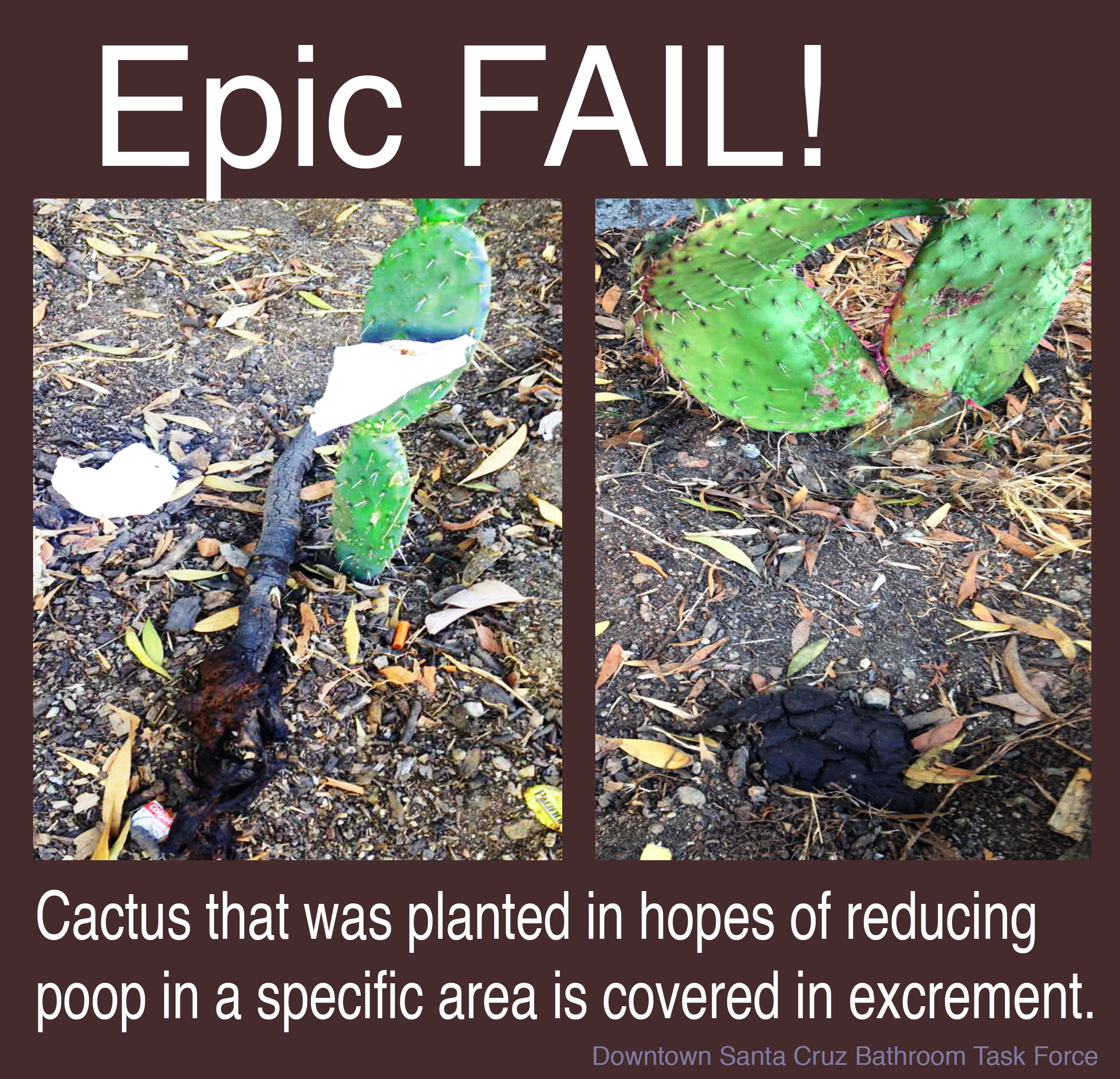 Cactus Meant to Reduce Poop Covered in Excrement : Indybay