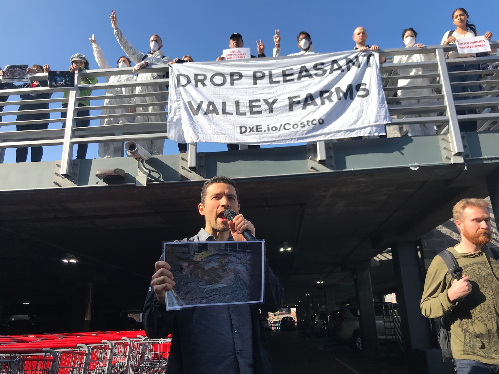 Biohazard Suit Protest Inside SF Costco After $331,000 Restitution ...