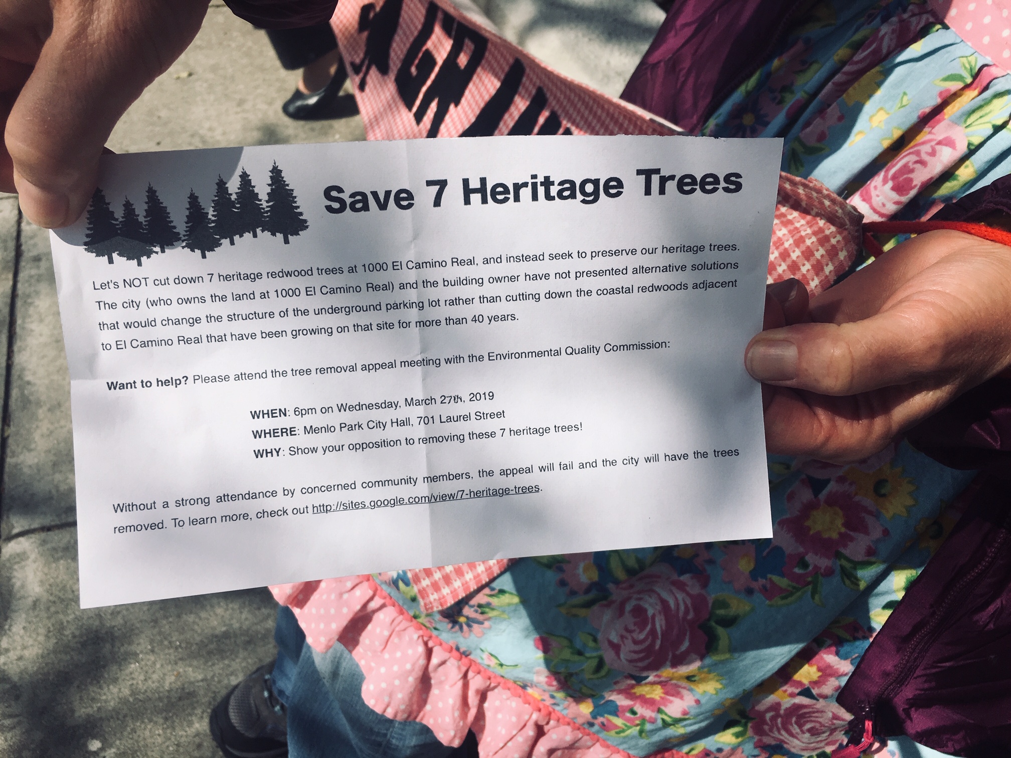 To Safeguard Redwood Trees, Protesters Demonstrate in Their Shade : Indybay