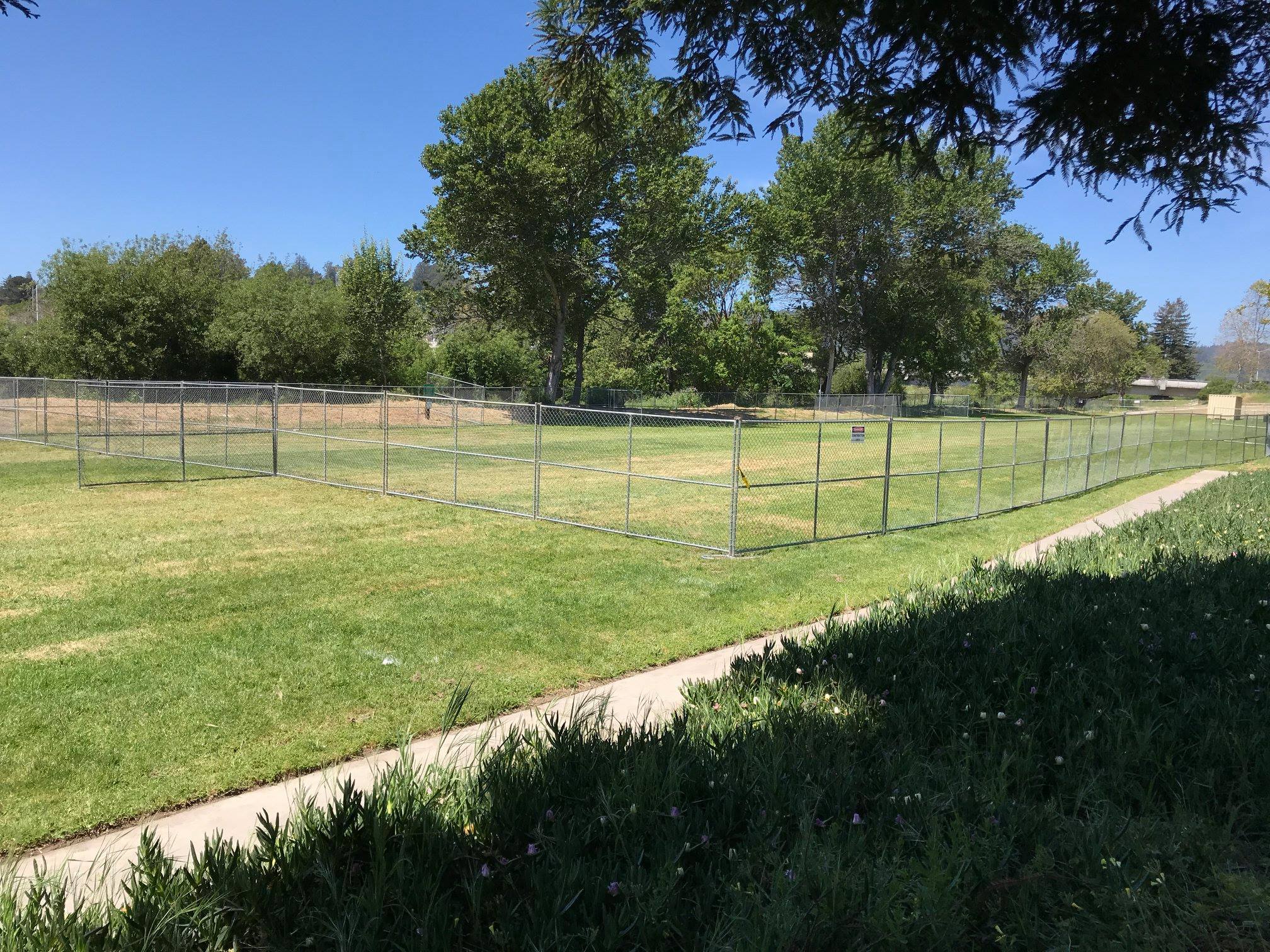 Judge Burdick Rules Police Can Start Removing People and Survival ...