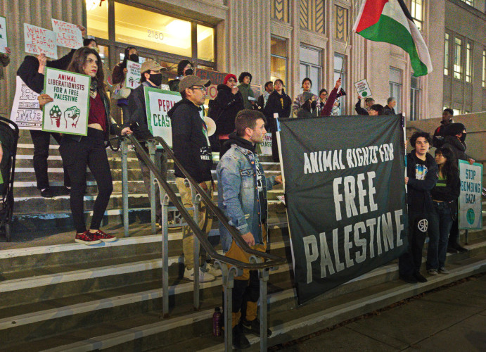 Animal Rights Rally and March for Free Palestine : Indybay