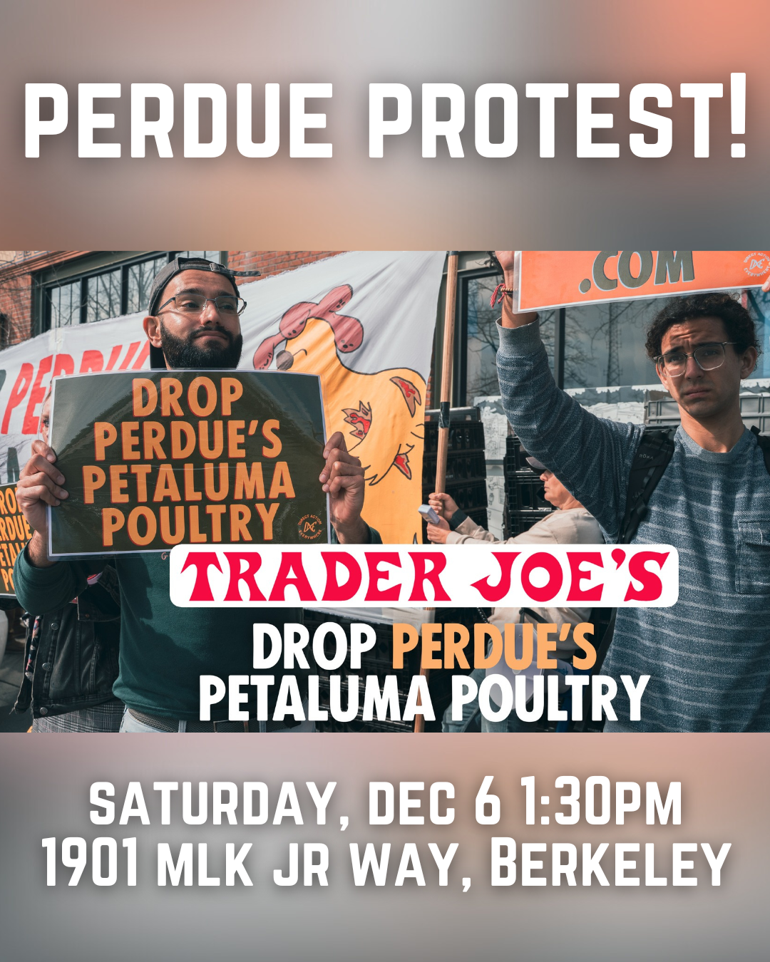 Protest at Trader Joe's: Drop Perdue's Petaluma Poultry! : Indybay