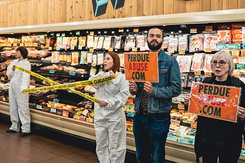 Animal Rights Activists Undeterred by Trader Joe's Lawsuit : Indybay